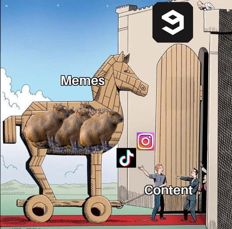 Best Funny capybara Memes - 9GAG