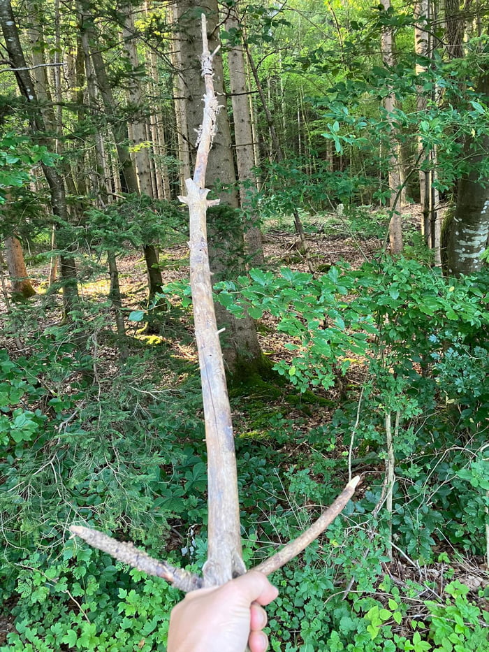 Like my stick? - 9GAG