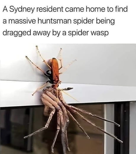 Best Funny hans Memes - 9GAG