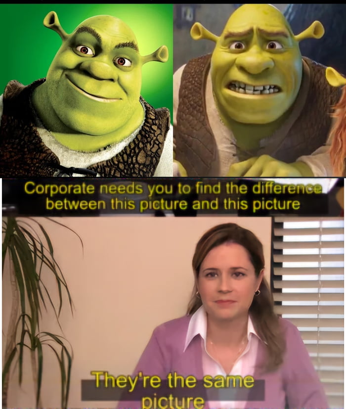 I seriously honestly don't understand what everyone is so angry about ...