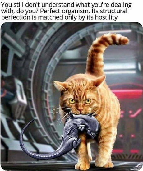 Best Funny predator Memes - 9GAG