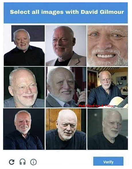 David Gilmour Memes Davidgilmourinc | Love David Gilmour Funny Follow