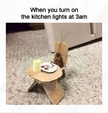 Memes Of Roaches Roaches Cartoons And Comics Funny Pictures From