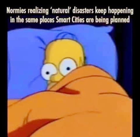 Funny Disaster Memes 29 Funny Boss Memes That Are Almost Too Relatable