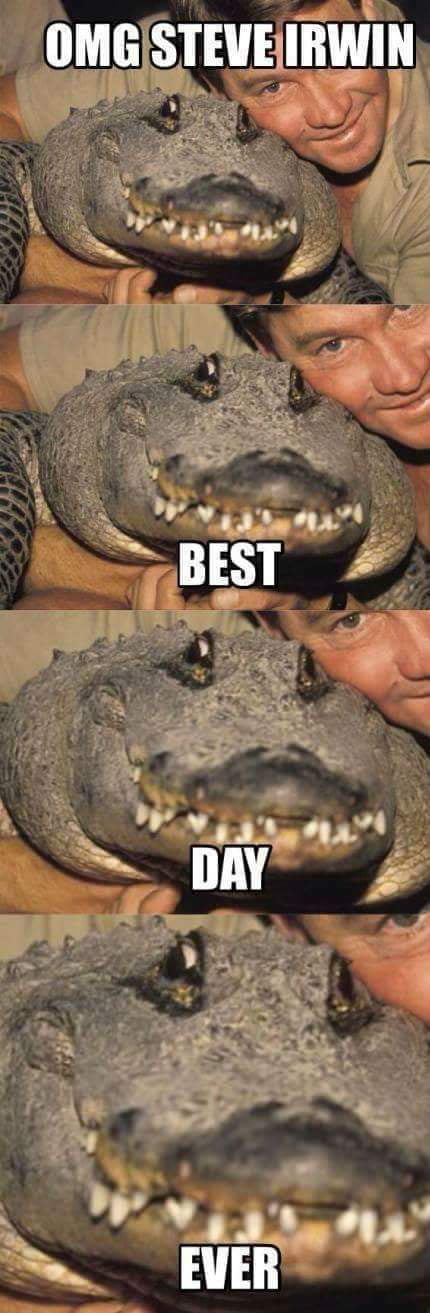 Best Funny crocodile Memes - 9GAG