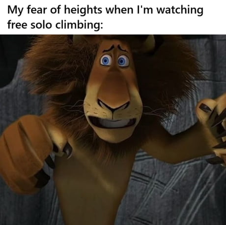 Memes Madra Feargach