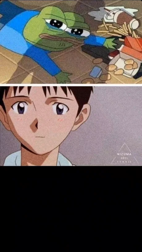 Ikari Shinji Memes