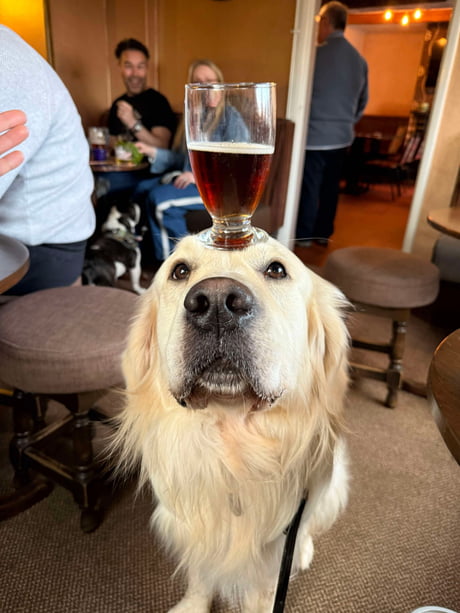 Best Funny skills Memes - 9GAG