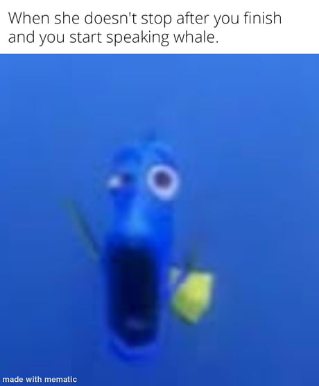 Dory Race Memes Best Funny Dory Memes 9GAG