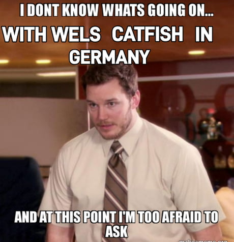 Funny Catfish Memes