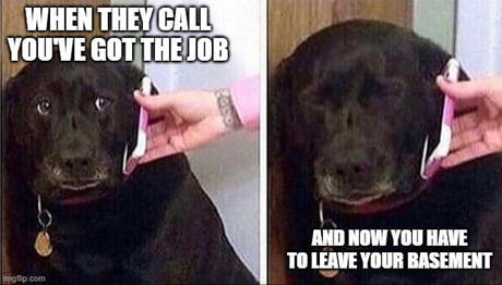 Basement Memes