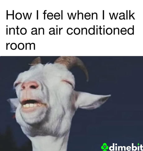 Arghhh Memes
