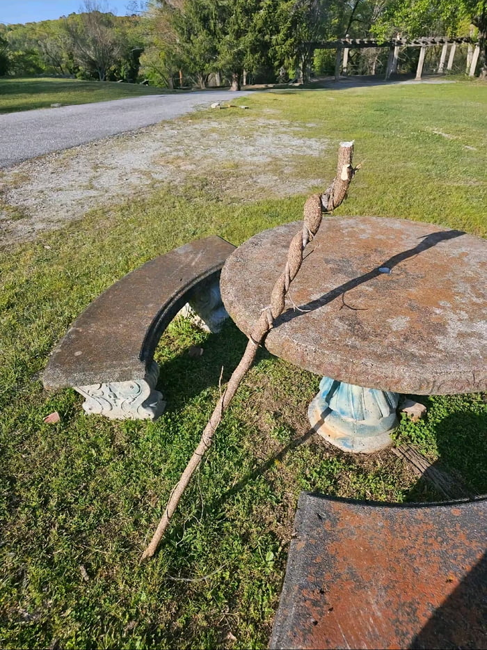 Someone has forgotten their stick. Or maybe got kidnapped. I'll leave ...