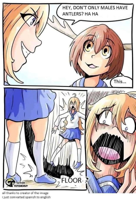 Best Funny my deer friend nokotan Memes - 9GAG