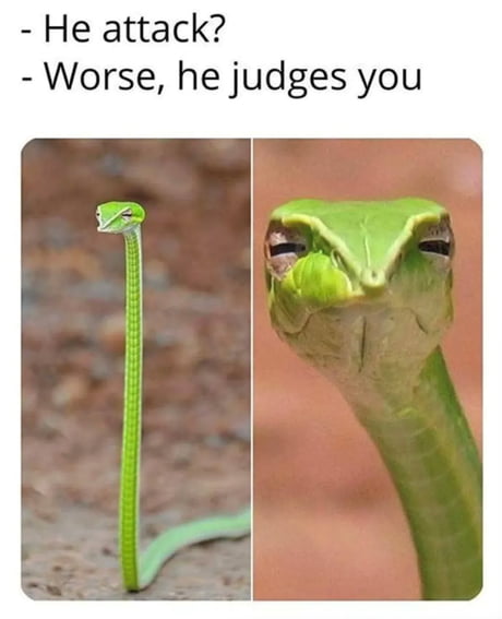 Best Funny judging Memes - 9GAG