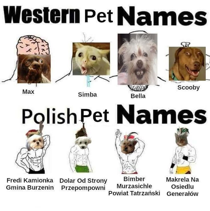 Your pet name is? - 9GAG