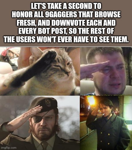 Best Funny salute Memes - 9GAG