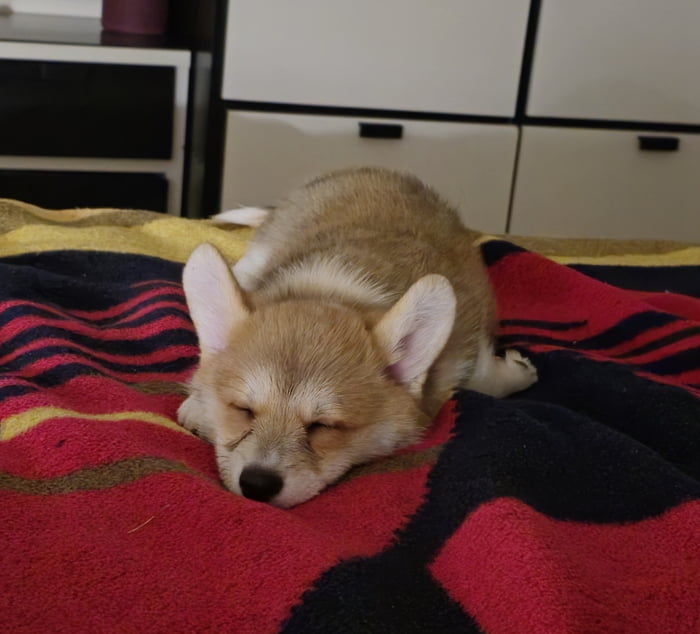 Throwback Szotyi on his first night at home - 9GAG