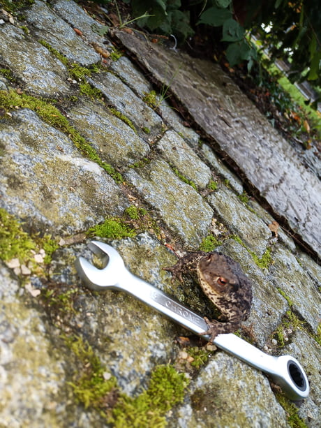 Best Funny tool Memes - 9GAG