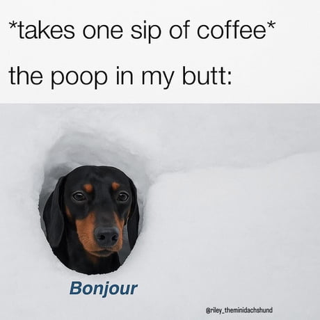 Poopy Day Memes