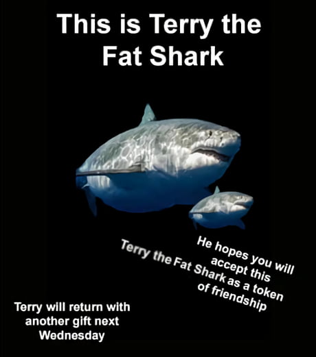 Best Funny terry the fat shark Memes - 9GAG