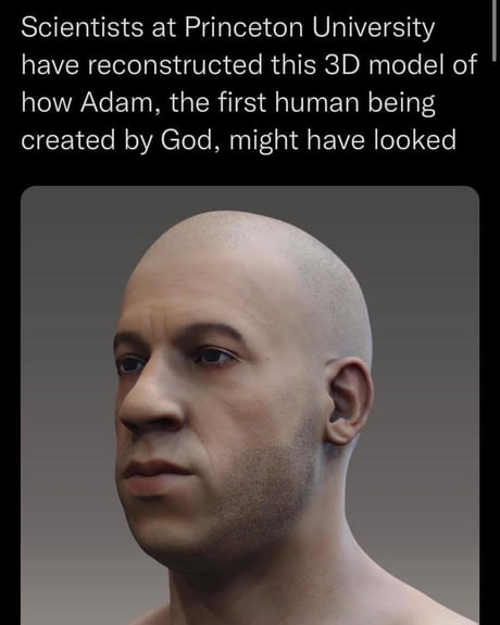 Best Funny the creation of adam Memes - 9GAG