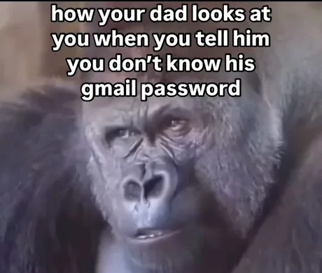 Gmail Memes