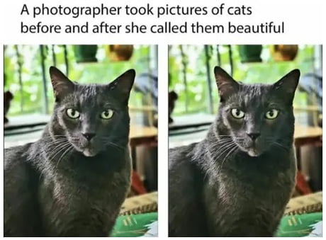 Best Funny before and after Memes - 9GAG
