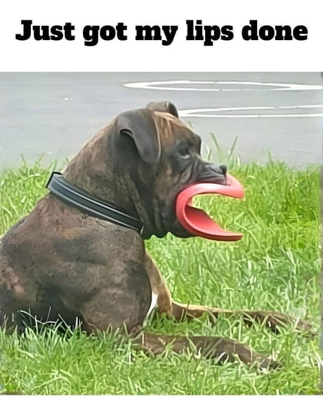 Best Funny lips Memes - 9GAG