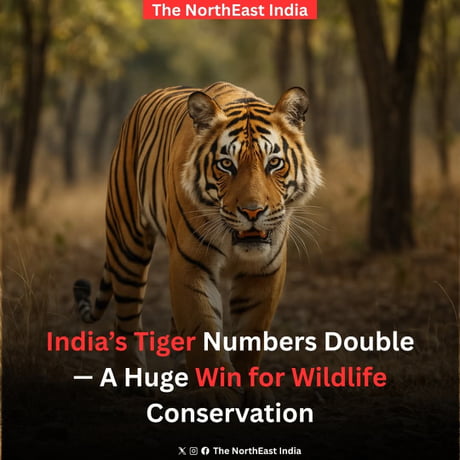 Best Funny oddly terrifying Memes - 9GAG