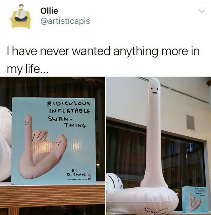 Ridiculous Inflatable Swan Thing - 9GAG