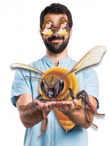 Bee Holder Memes