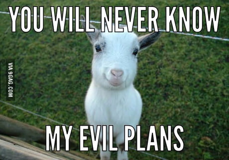 Satanic Goats Memes Imgflip
