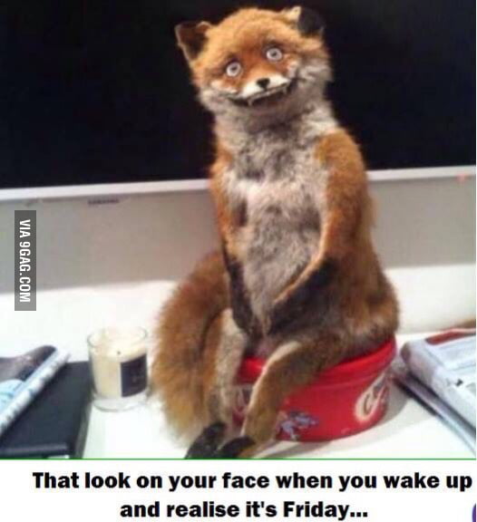 Knowing it is Friday when you wake up - 9GAG
