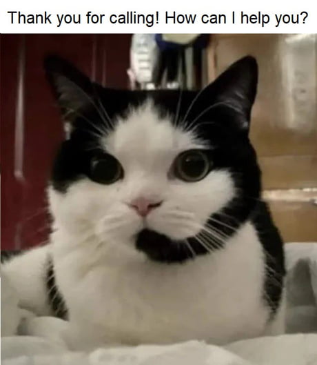 Operator Operator Operator Memes