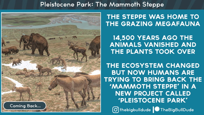 This is just the First Part of a new series about the creation of ‘Pleistocene Park’. - 9GAG