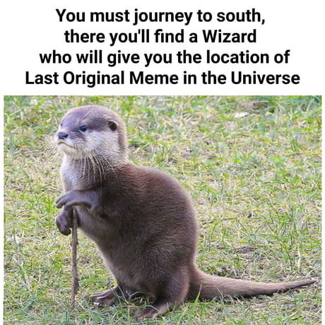 Best Funny quest Memes - 9GAG