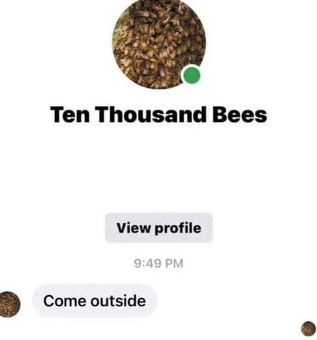 Best Funny bee Memes - 9GAG