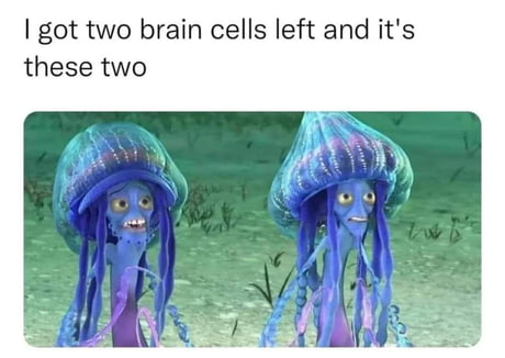 Best Funny shark tale Memes - 9GAG