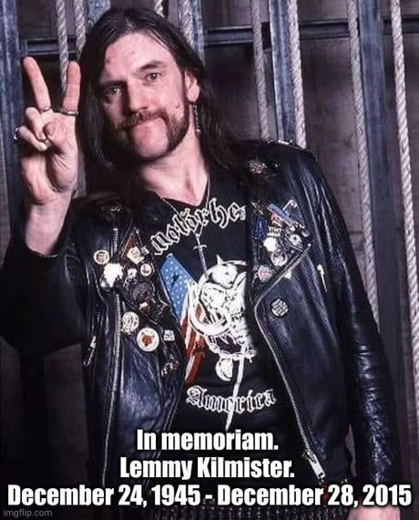 Best Funny lemmy kilmister Memes - 9GAG