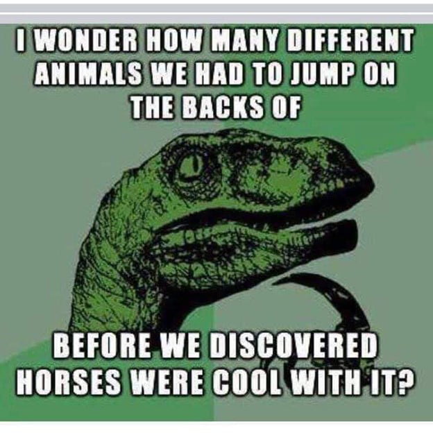 Giddyup - 9GAG
