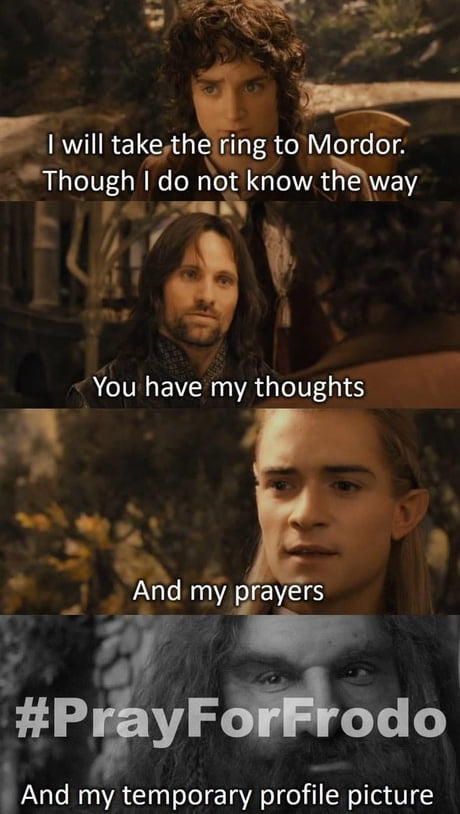 Lord Of The Rings Meme Frodo