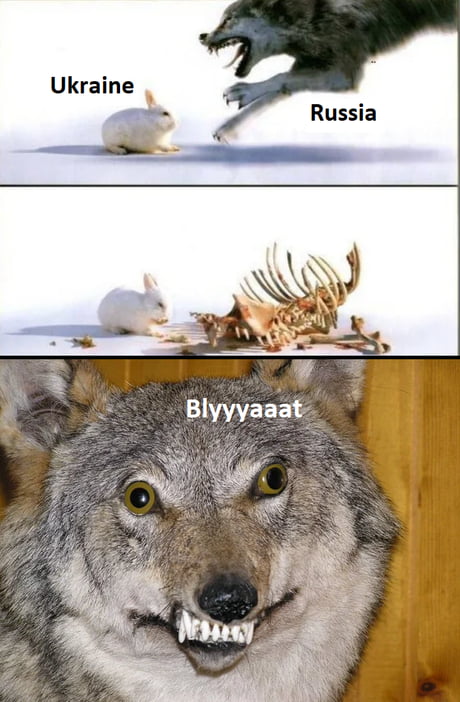 9gag Wolf Memes The Czechoslovakian Vlcak