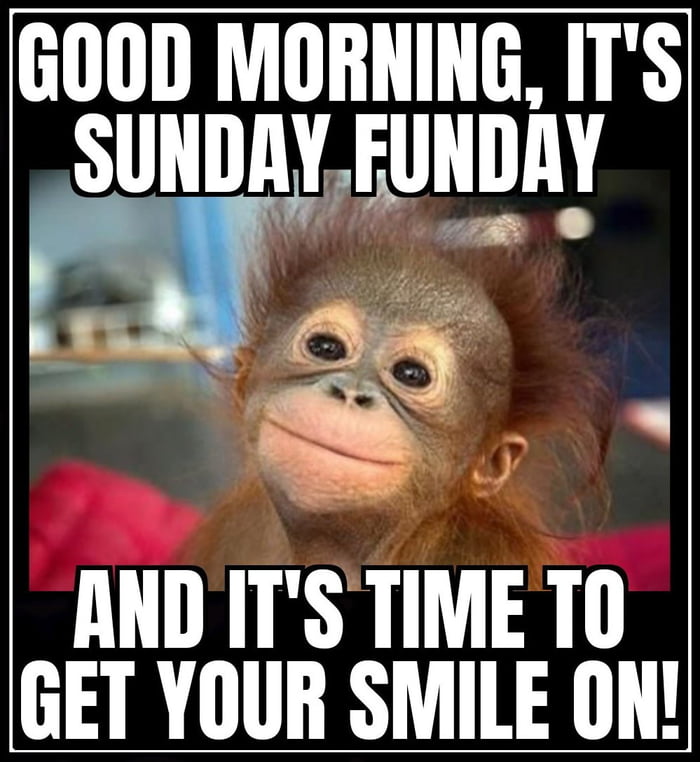 Sunday humor - 9GAG