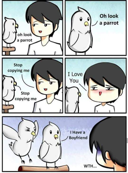 Every single time - 9GAG