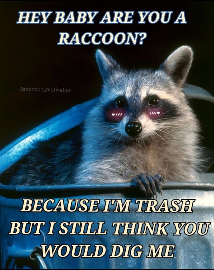 I'm the Trash Man - 9GAG