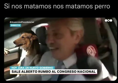 Memes De Un Perri Solo Publicare Memes | Destiny Ps3 [Esp]® Amino