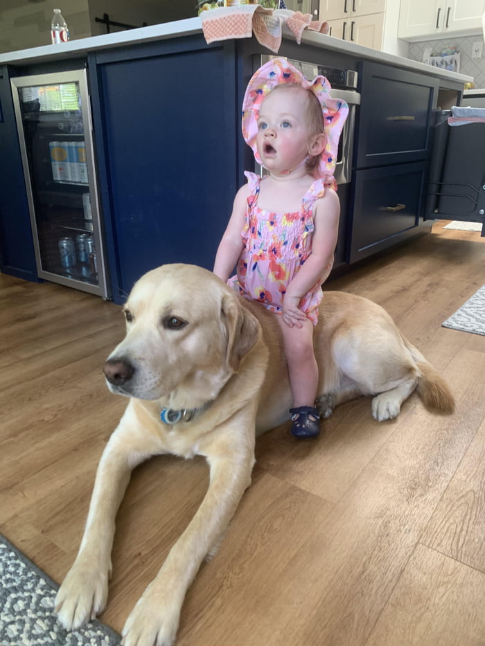 Baby riding doggo! - 9GAG