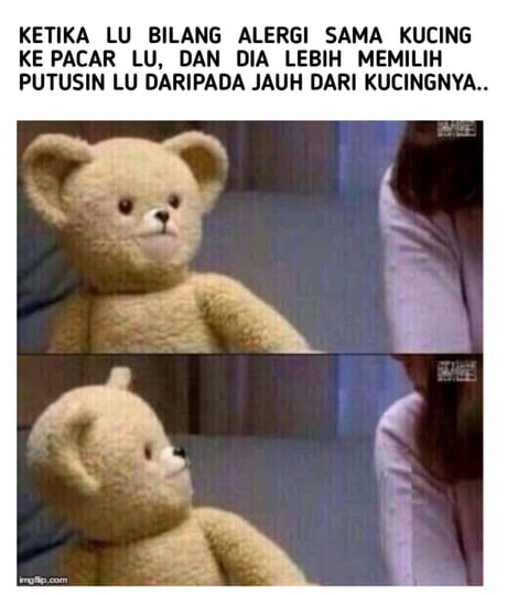 Memes Alasan