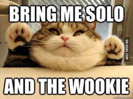 Wookie Cat